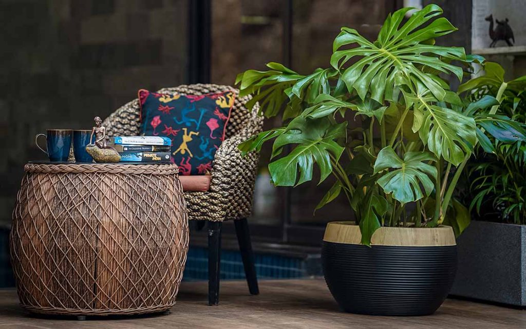 Harshdeep : India’s Top-Rated Manufacturer Of Pots Online