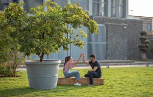 Harshdeep : India’s Leading No. 1 Planters Manufacturer