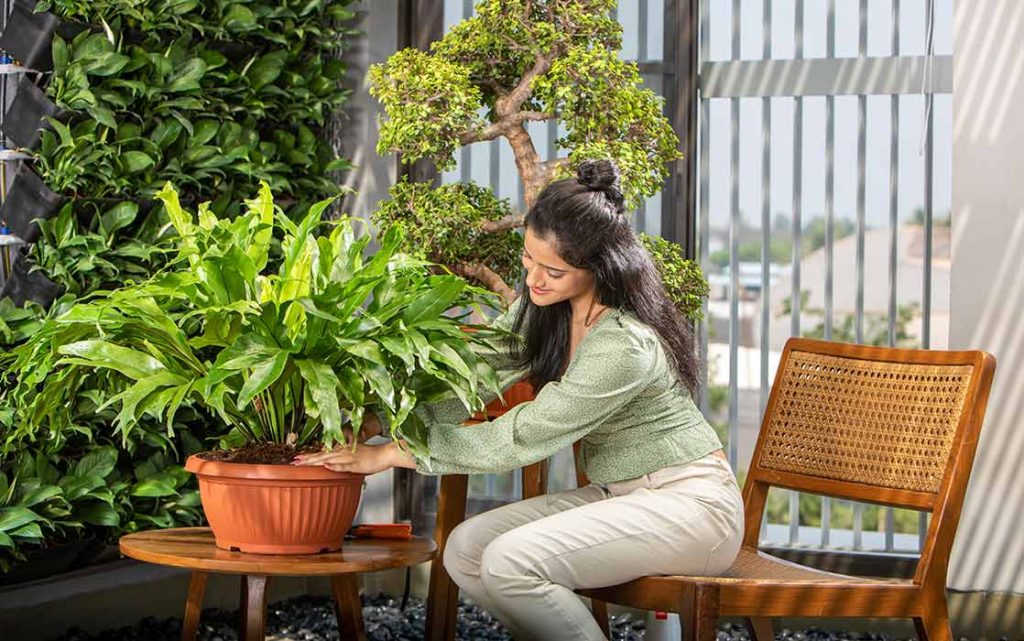 EVENTS - HARSHDEEP INDIA | BEST QUALITY PLANTERS ONLINE
