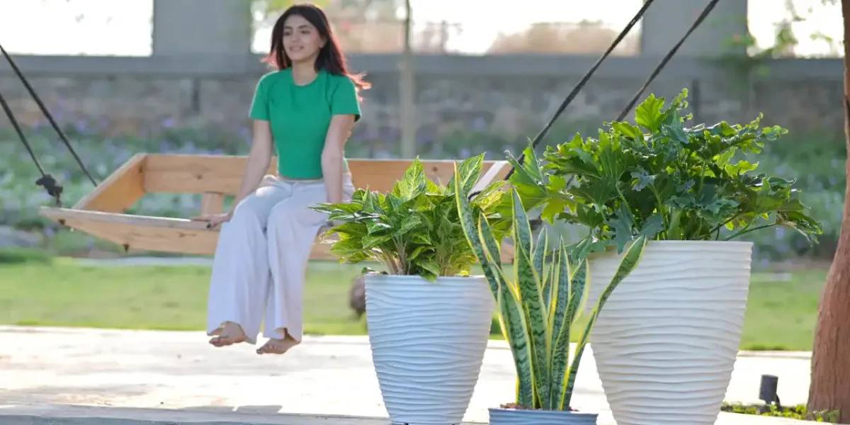 Top 5 Garden Planter Ideas for Stylish Outdoor Spaces