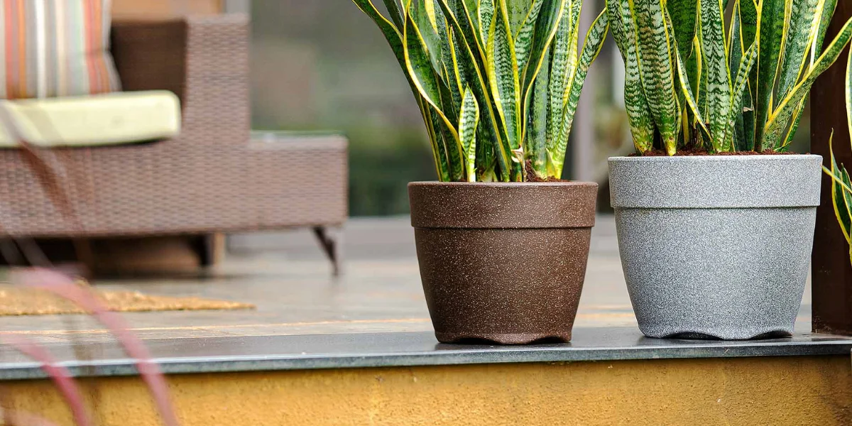 Guide to Roto Molded Plastic Planters for Outdoor Plants